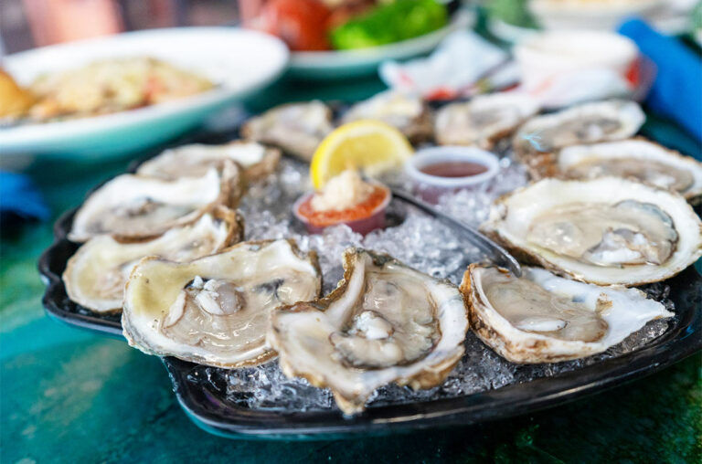 Oysters - The Magic Oyster Oysters - The Magic Oyster